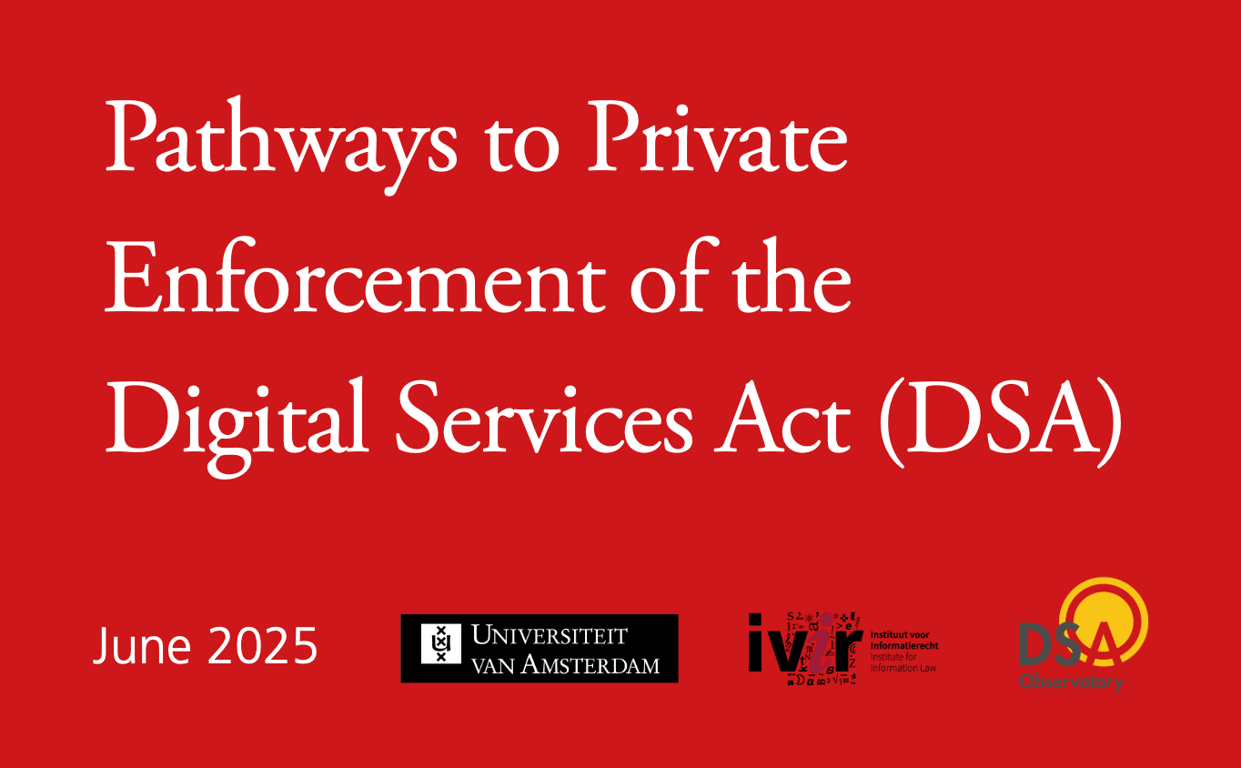 Report: Pathways to Private Enforcement of the Digital Services Act ...